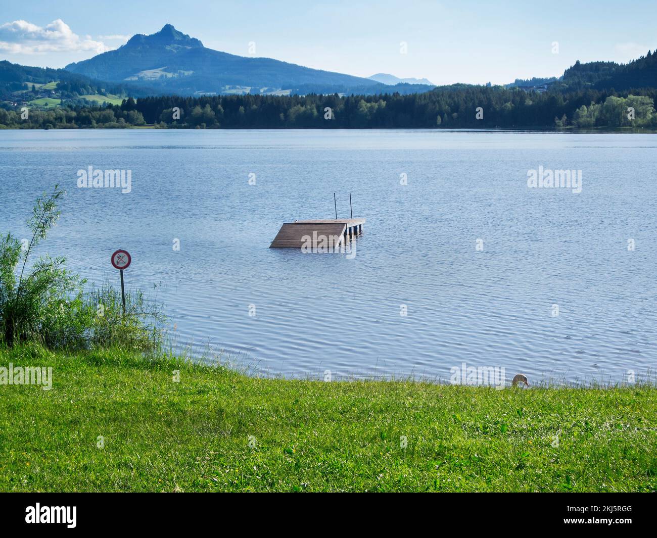 Landscape view with a view of the first foothills of the Alps at ...