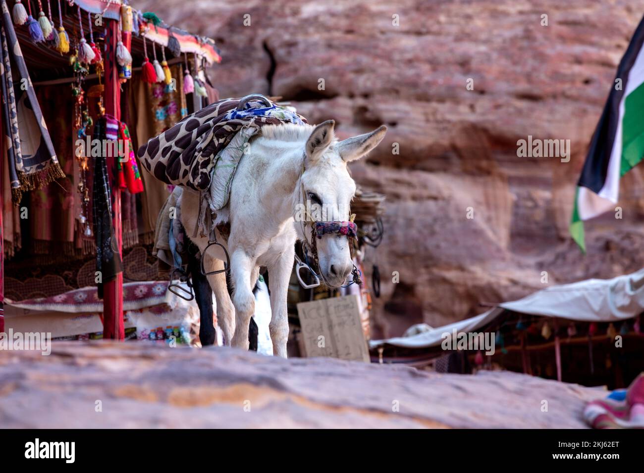 With traditional donkey saddle hi-res stock photography and images - Alamy