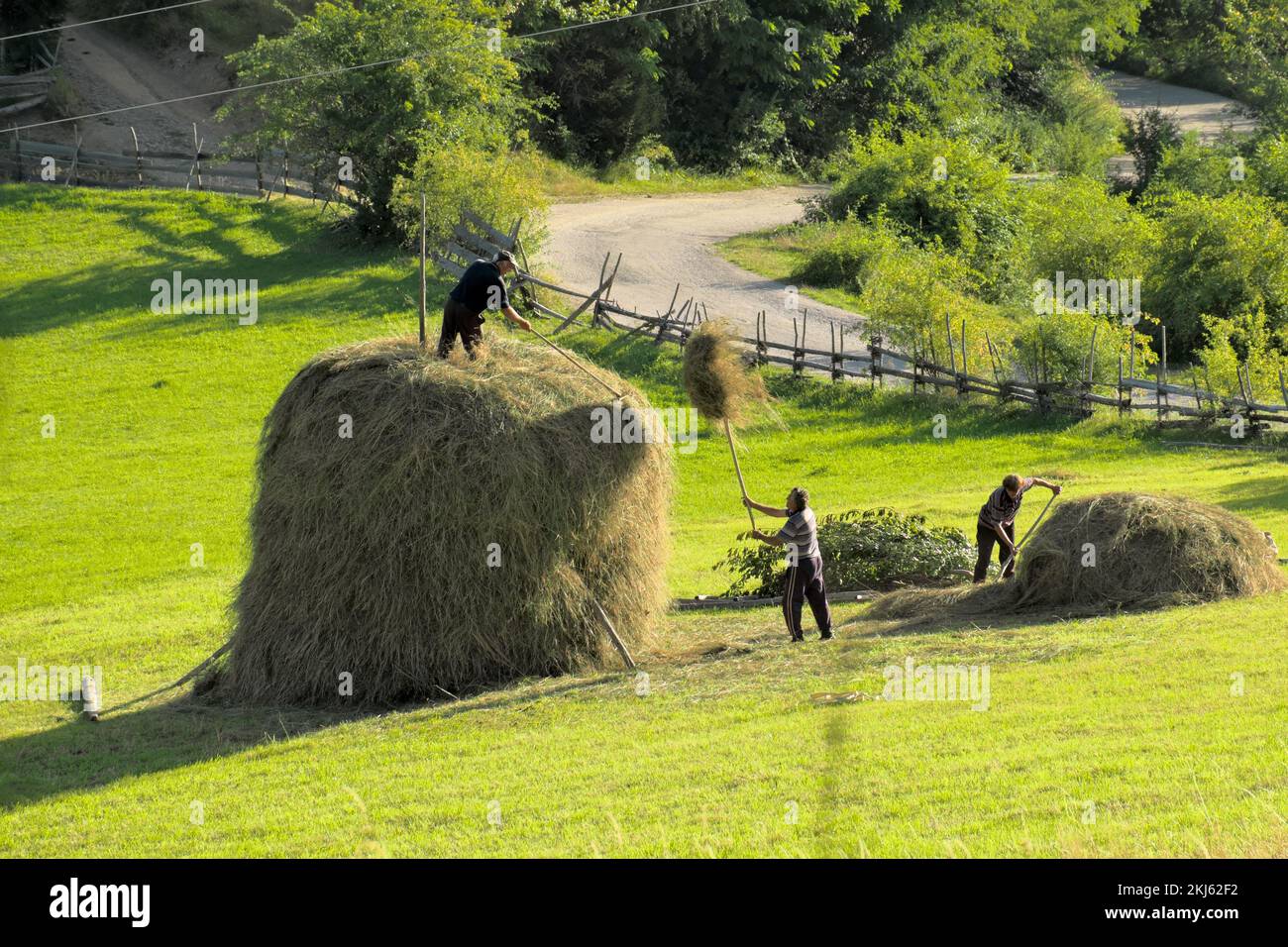farmers and haystack in a field of Serbia, Kamena Gora Stock Photo - Alamy