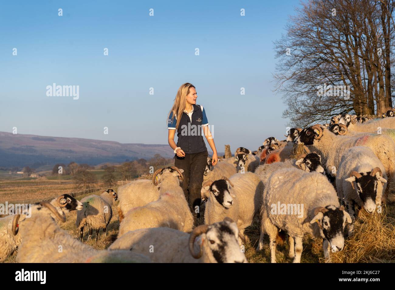 Woman shepherd shepherdess hi-res stock photography and images - Alamy