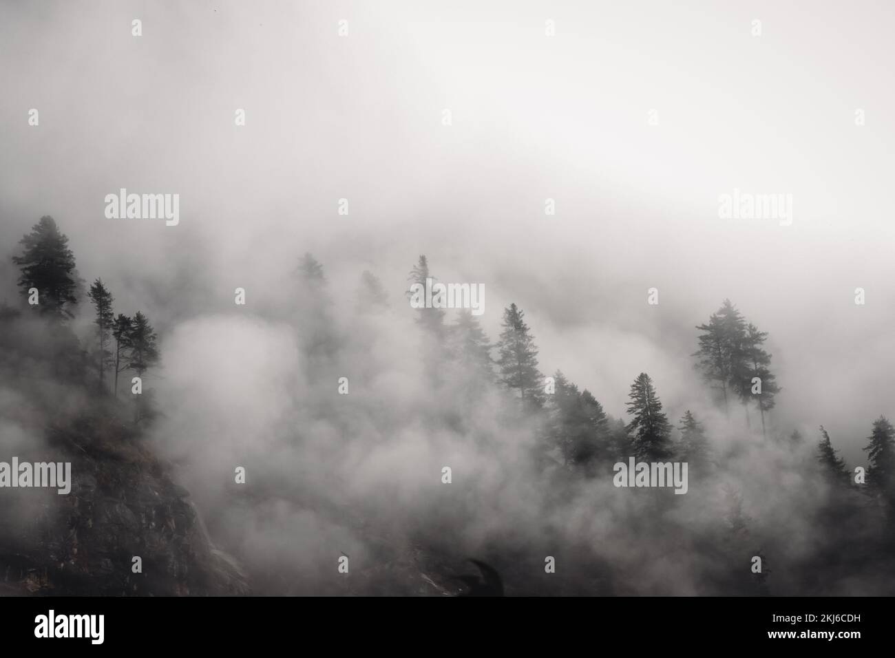 Misty silhouette forest and mountain of MAnaslu Circuit Trekking in the ...