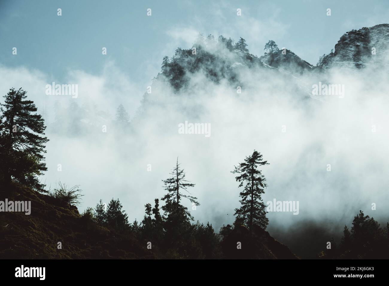 Misty silhouette forest and mountain of Rara Lake in Rara National Park ...