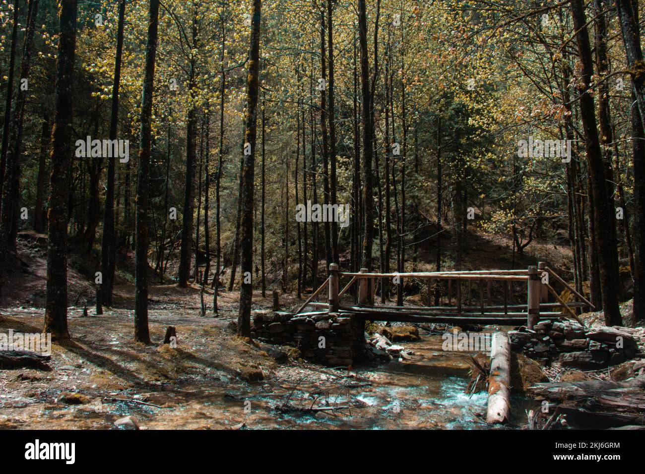 Rara National Park in Mugu, Nepal Stock Photo - Alamy