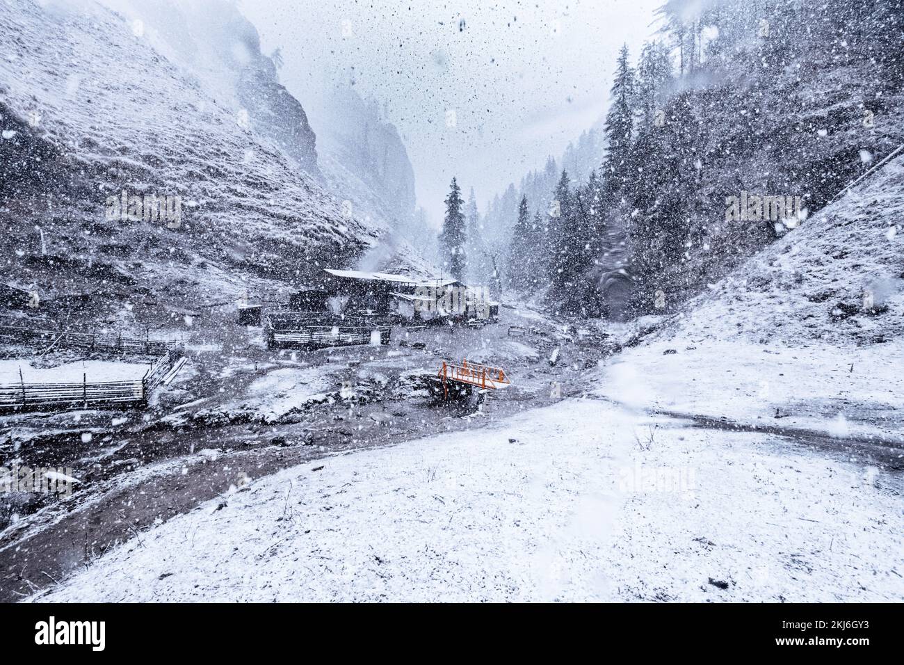 Heavy Snowfall in Rara Lake and Rara National Park, Mugu, Nepal Stock ...