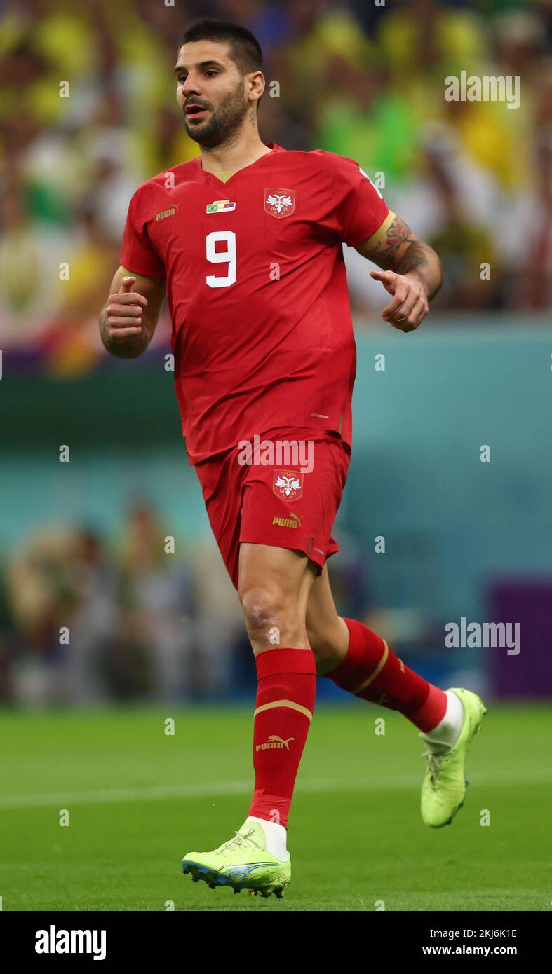 Doha, Qatar, 24th November 2022. Aleksandar Mitrovic of Serbia during ...