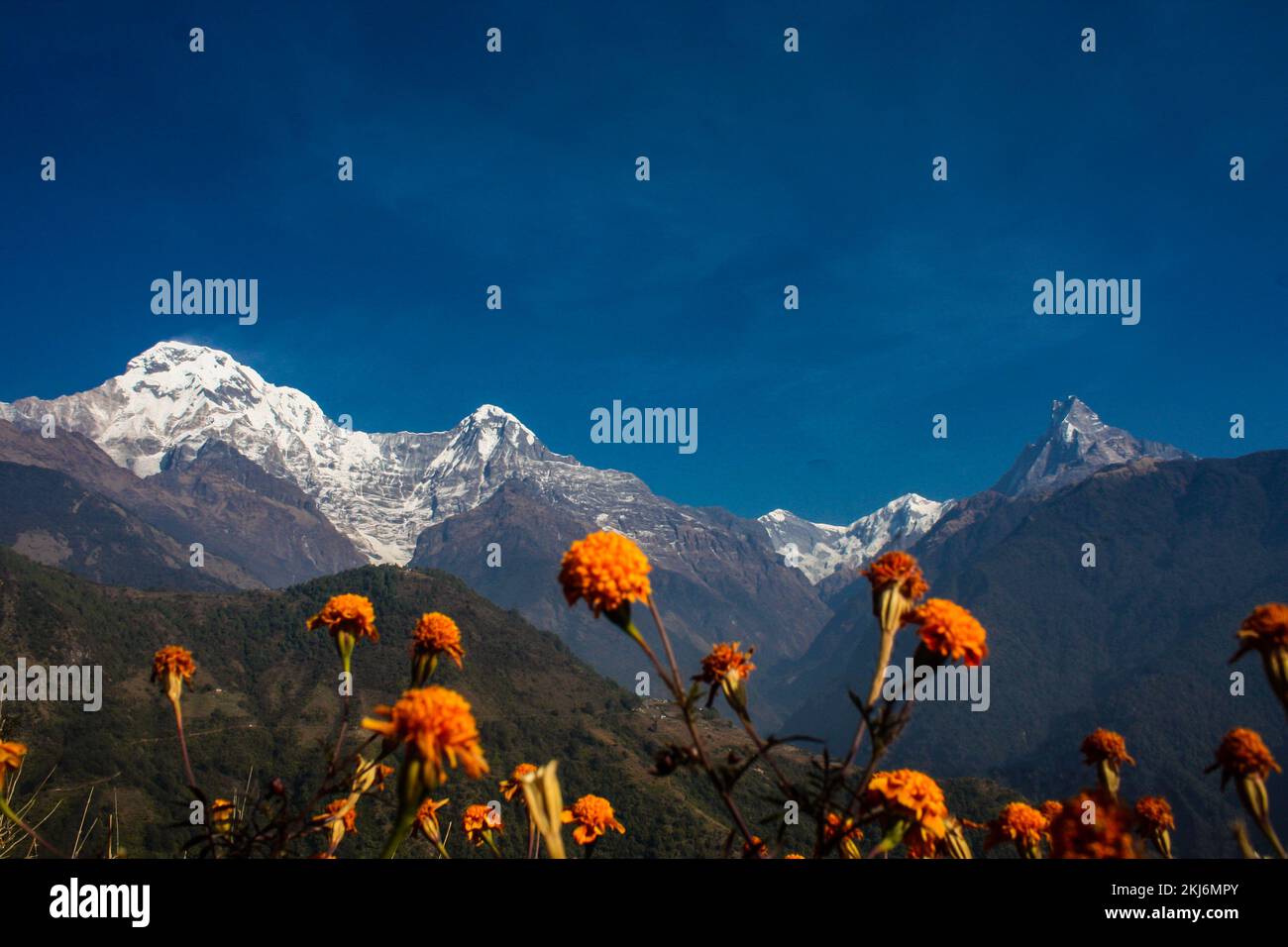 Mardi Himal, Mt. Machhapuchhare, Annapurna mountain seen during ...
