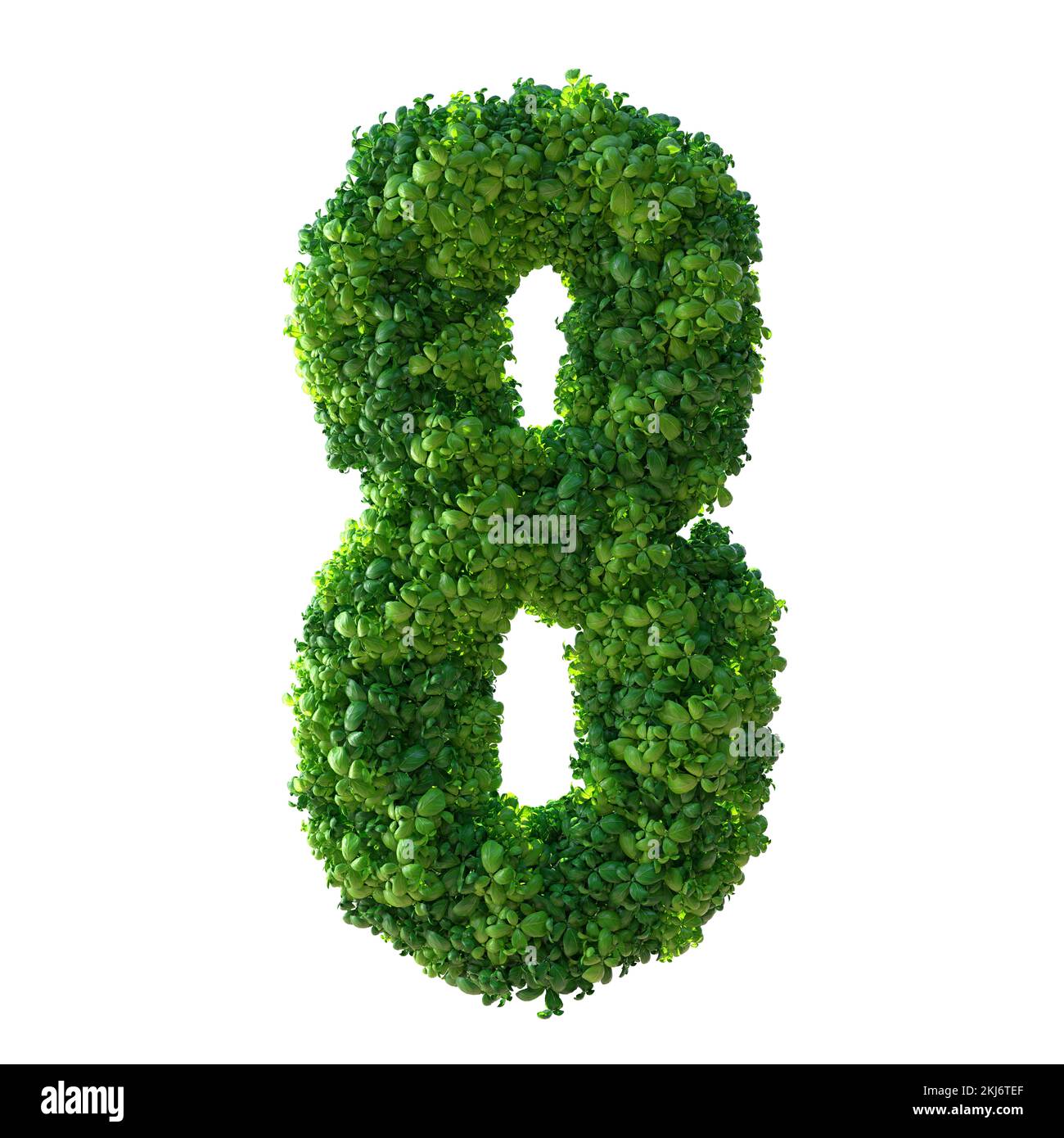 Number 8, Alphabet. Green plant number isolated with Clipping Path. 3d ...