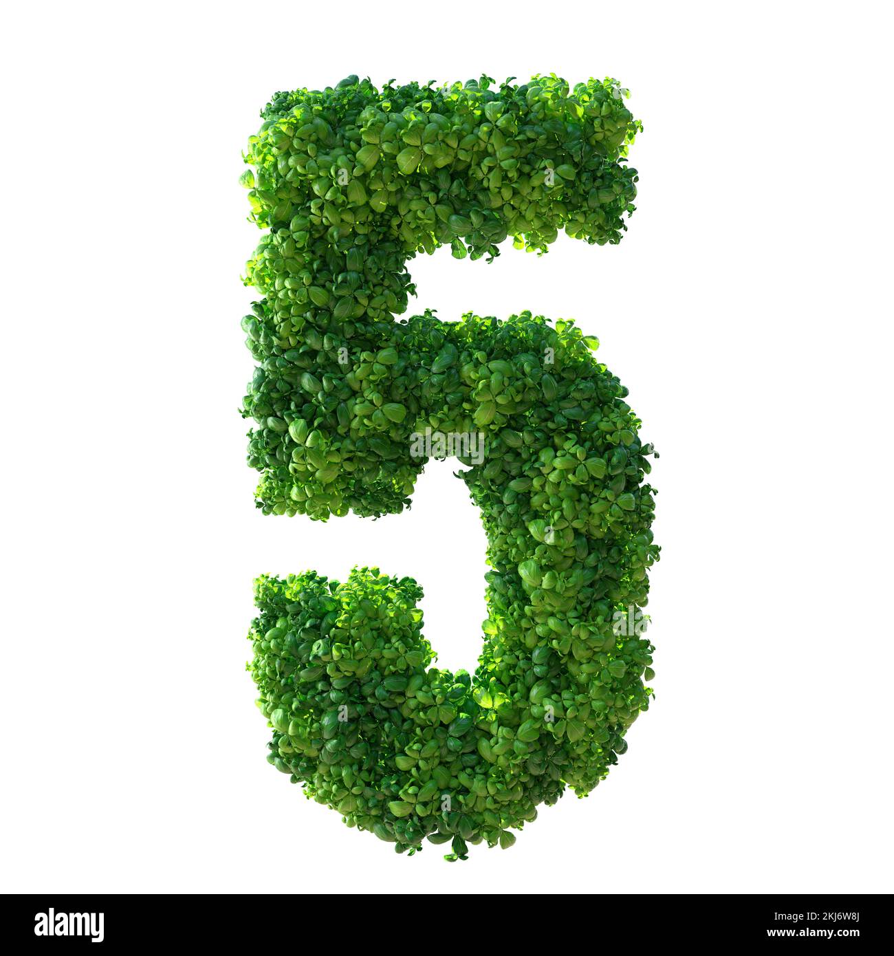 Number 5 leaves hi-res stock photography and images - Alamy
