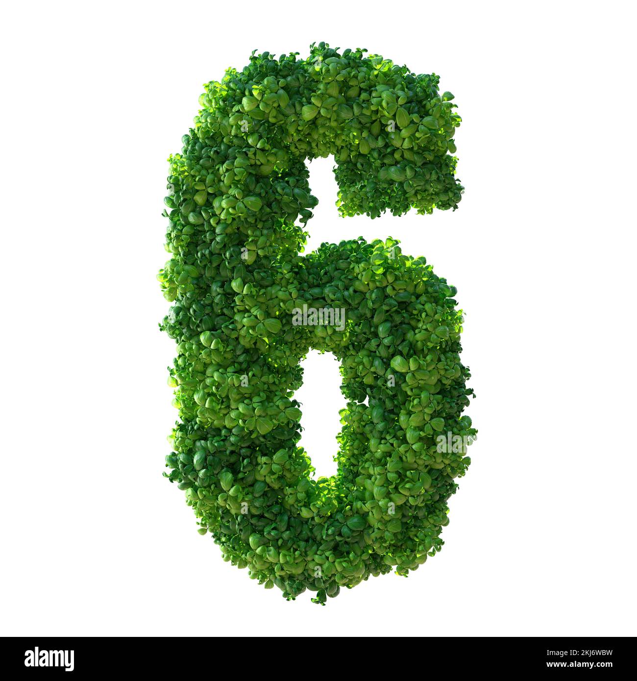 Number 6, Alphabet. Green plant number isolated with Clipping Path. 3d ...