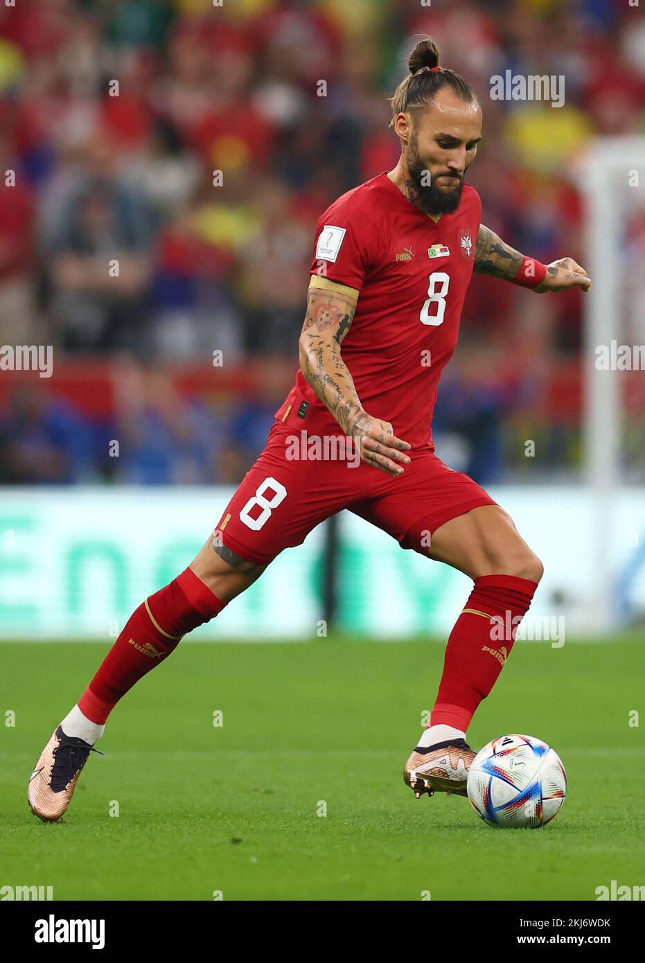 Doha, Qatar, 24th November 2022. Nemanja Gudelj of Serbia during the ...