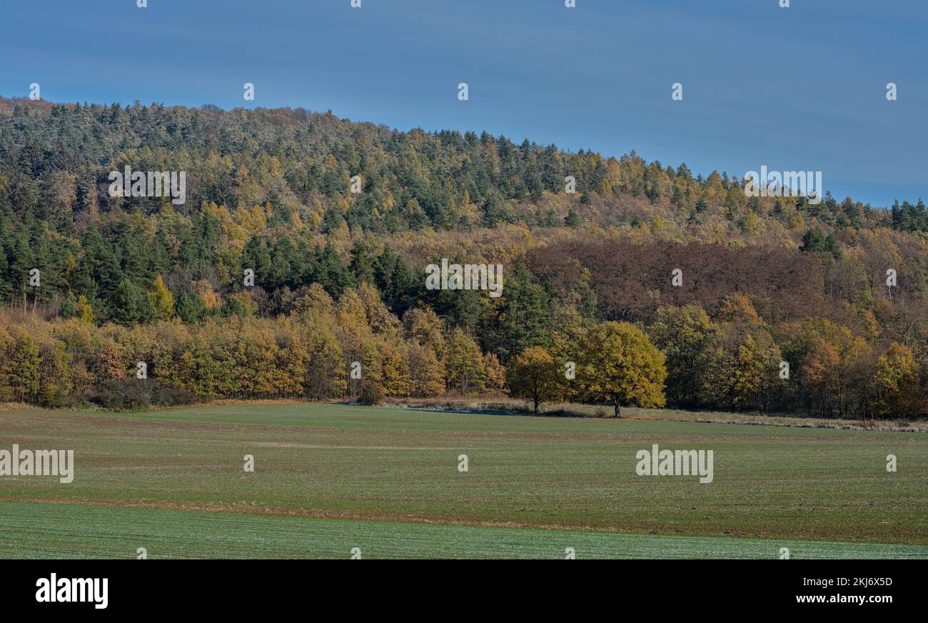 Late autumn colors after first light snow Lower Silesia Poland Stock ...