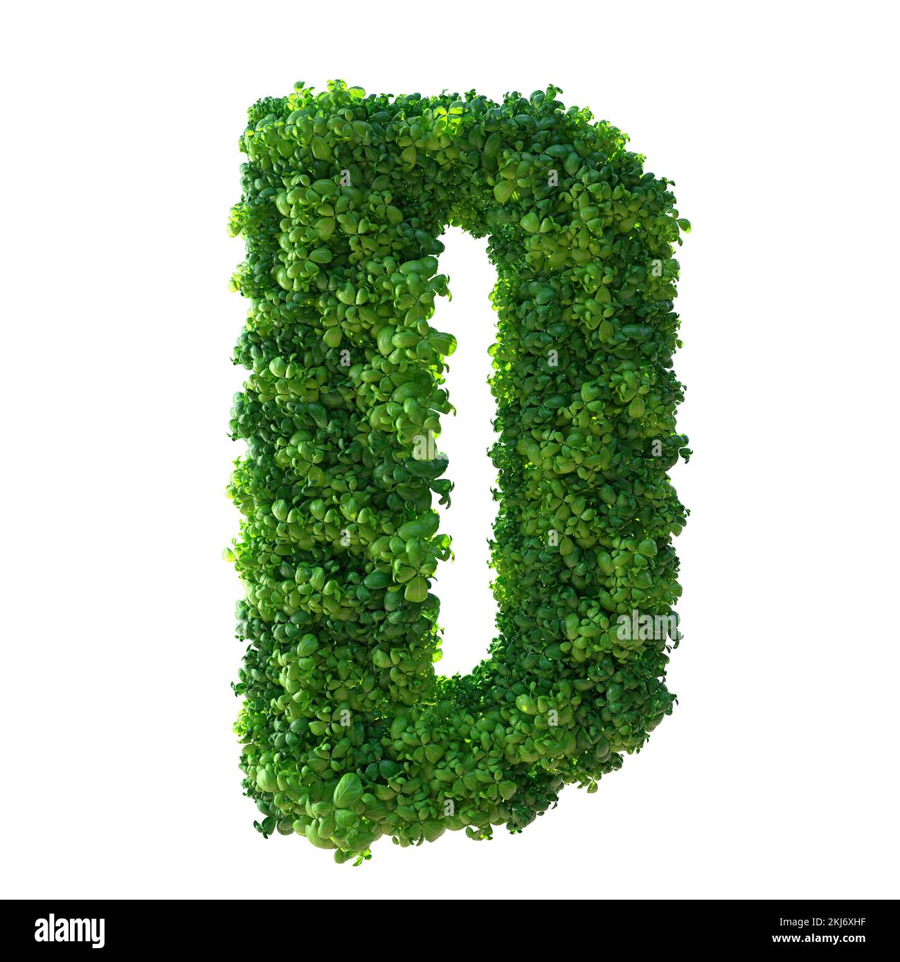 3d alphabet letter D. Green plant, leaves, grass, moss, basil, mint ...