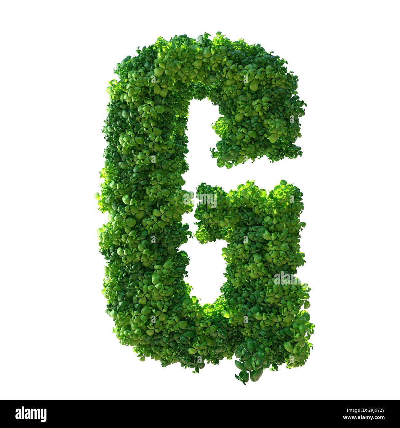 3d alphabet letter G. Green plant, leaves, grass, moss, basil, mint ...