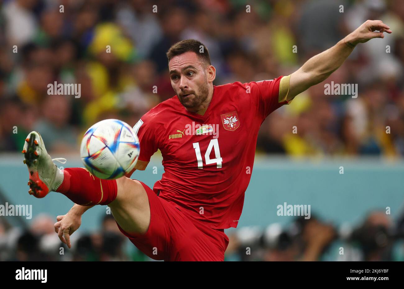 živkovic serbia hi-res stock photography and images - Alamy