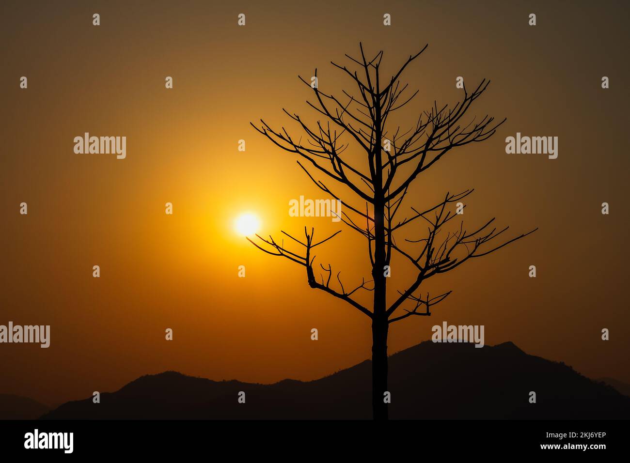 Beautiful Sunset Silhouette in the Hills with trees in Khotang, Nepal ...