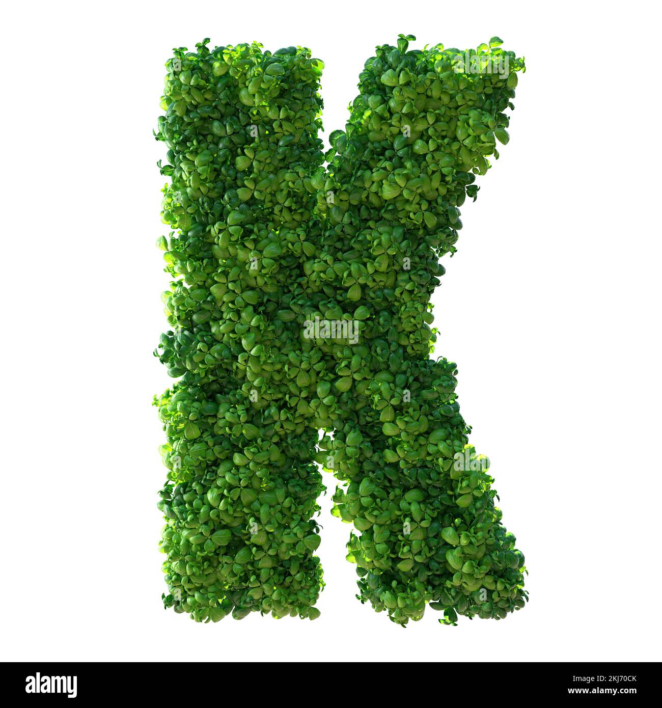 3d alphabet letter K. Green plant, leaves, grass, moss, basil, mint ...