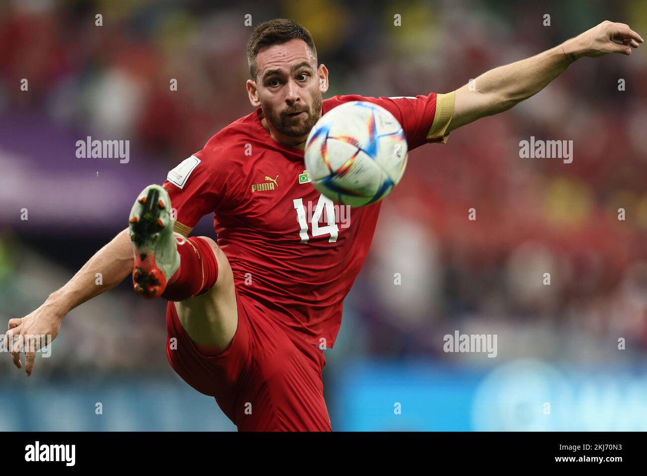 Lusail, Qatar. 24th Nov, 2022. Andrija Zivkovic of Serbia controls the ...