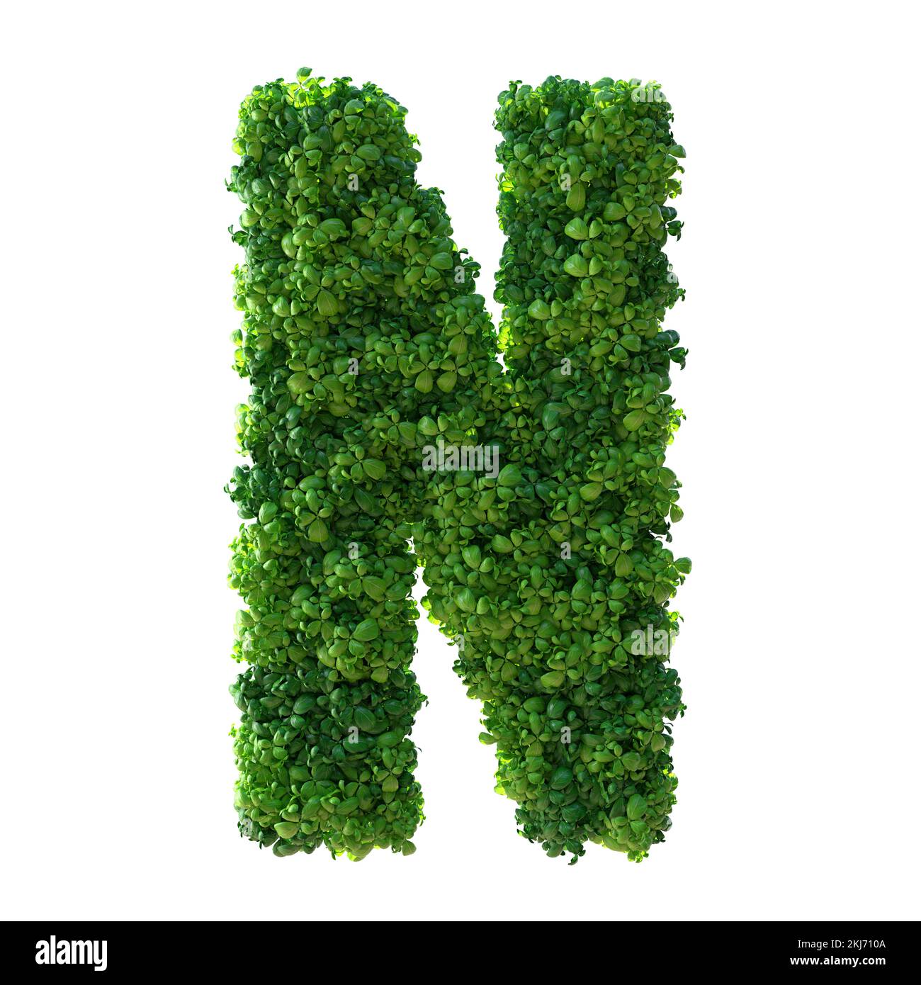 3d alphabet letter N. Green plant, leaves, grass, moss, basil, mint ...