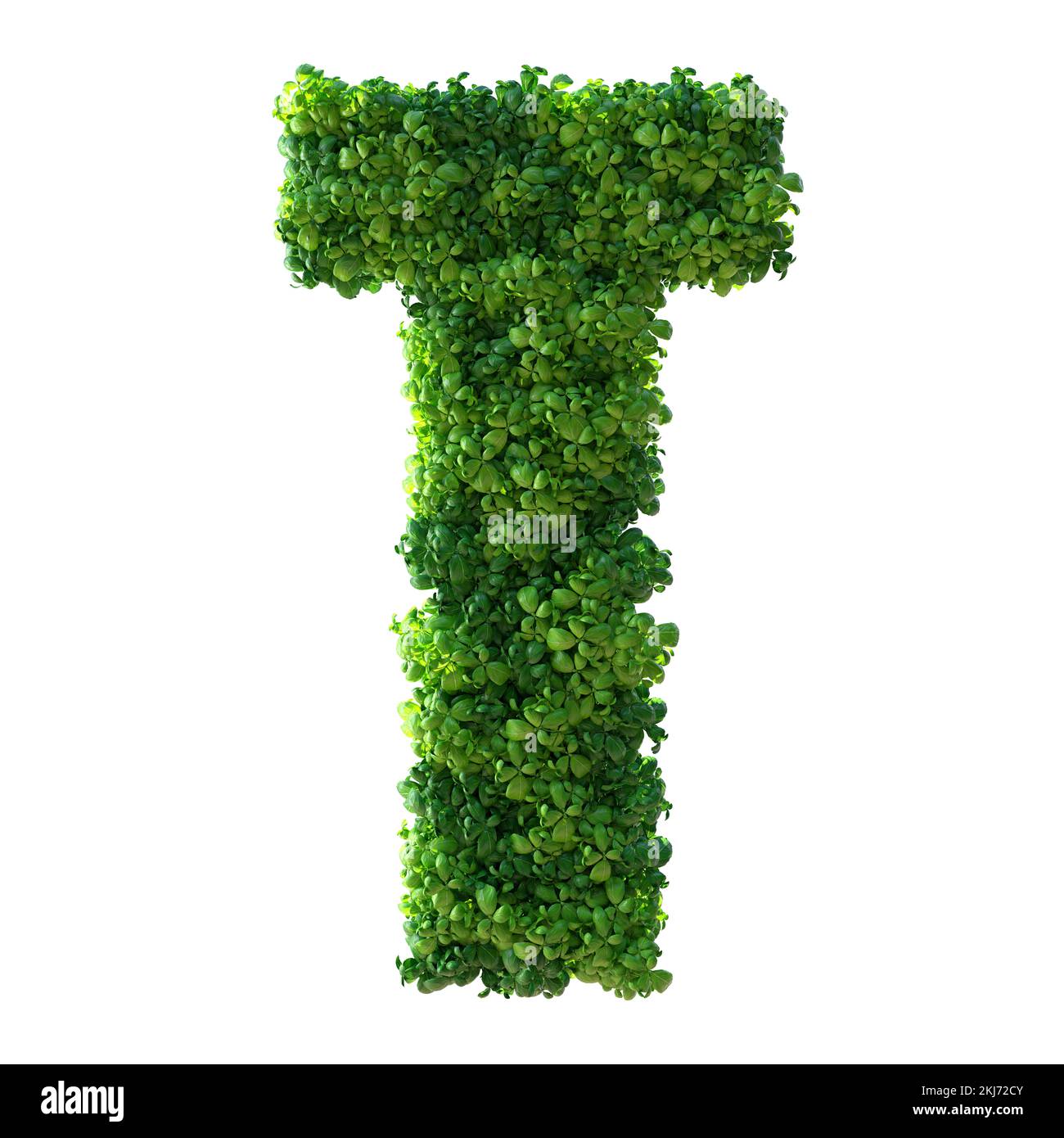 3d alphabet letter T. Green plant, leaves, grass, moss, basil, mint ...