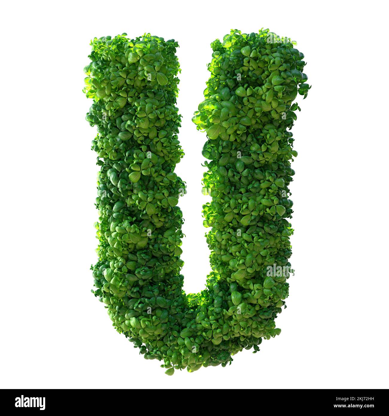 3d alphabet letter U. Green plant, leaves, grass, moss, basil, mint ...
