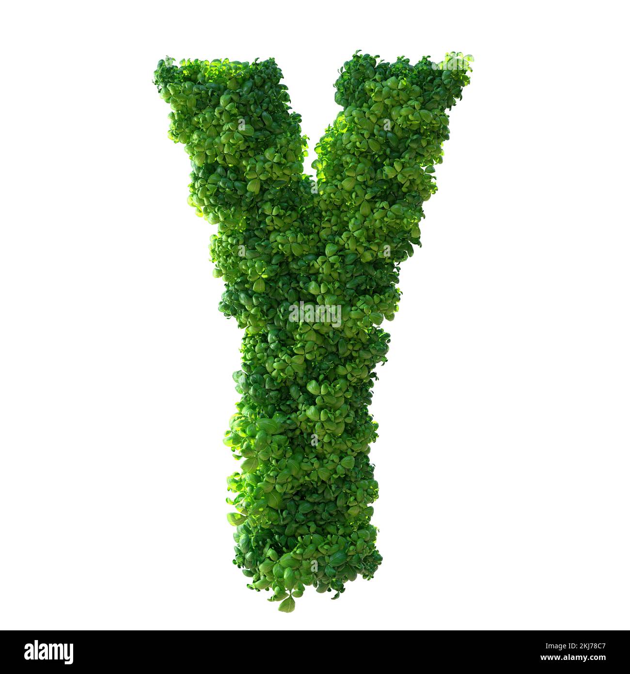 3d alphabet letter Y. Green plant, leaves, grass, moss, basil, mint ...