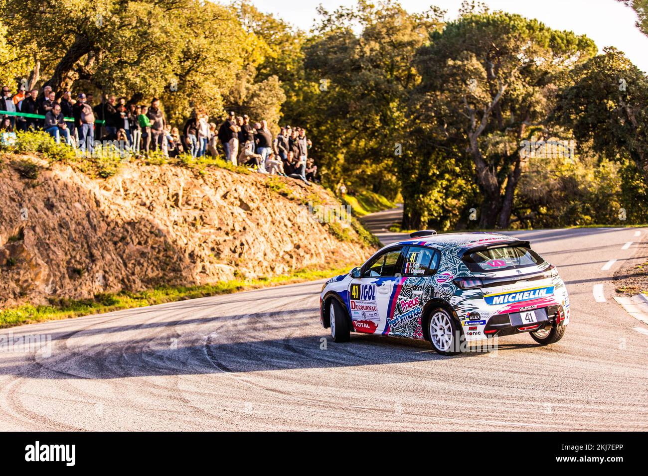 41 CART Aurélien, CHAUFFRAY Thomas, Peugeot 208 Rally4, action during ...