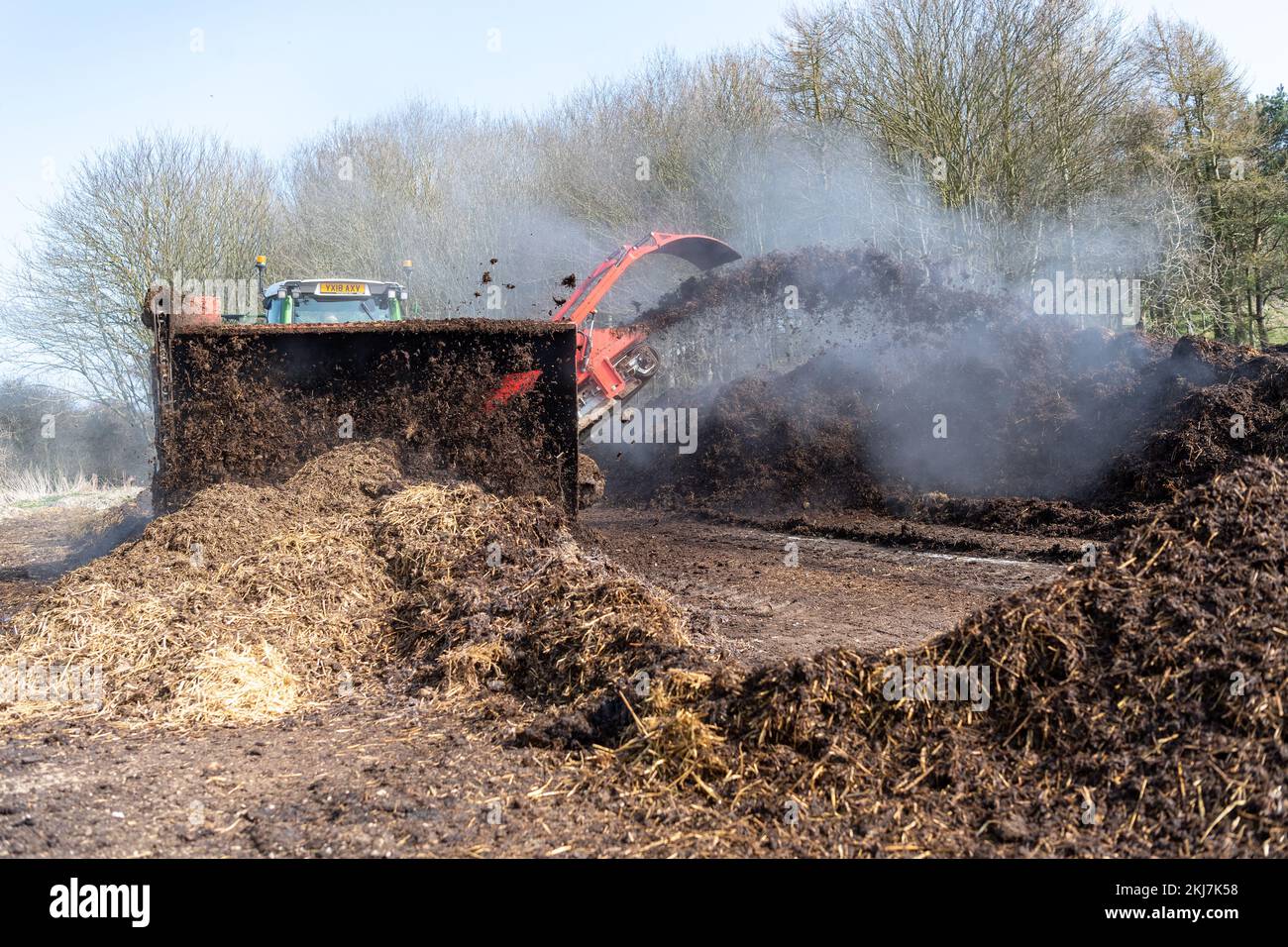 Turning a manure heap over to make compost to spread on farmland, which ...