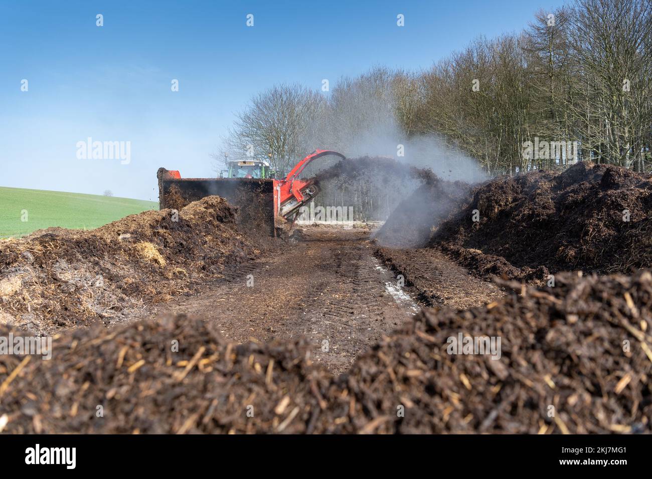 Turning a manure heap over to make compost to spread on farmland, which ...