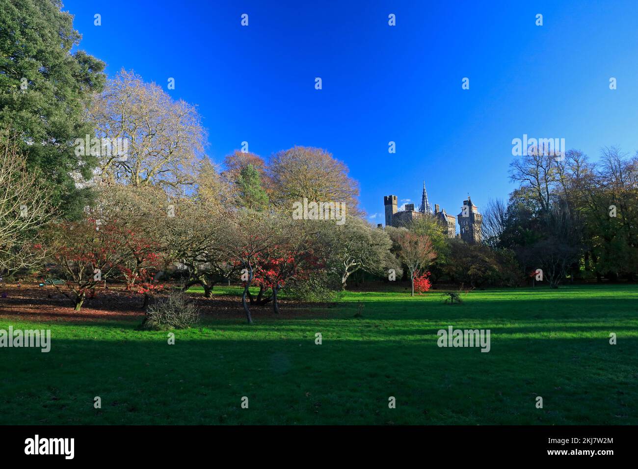 Cardiff Castle as seen from from Bute Park / Castle grounds during ...