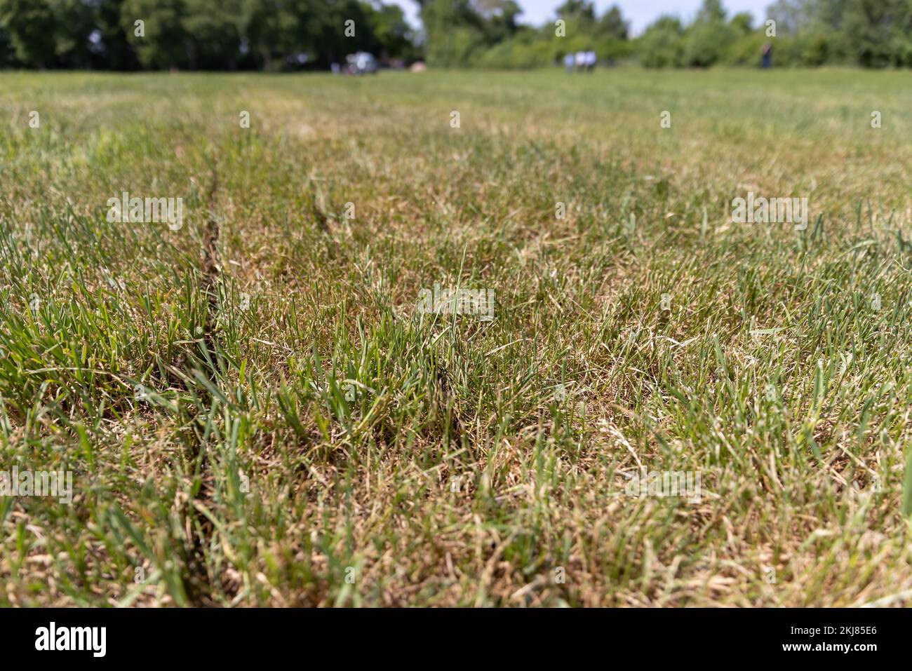 Weidenbach, Germany. 19th May, 2022. During a demonstration of slurry ...
