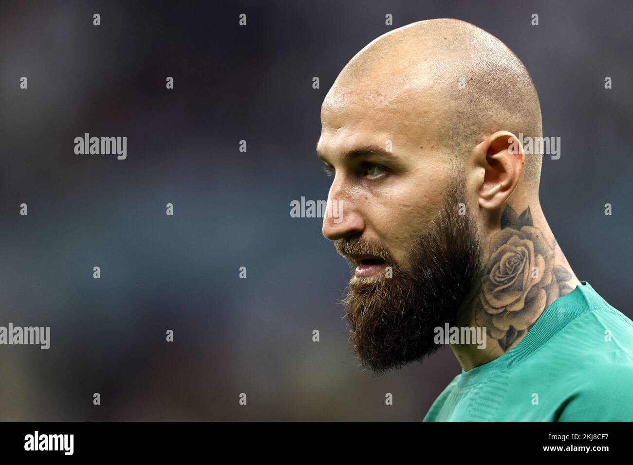 LUSAIL CITY - Serbia goalkeeper Vanja Milinkovic-Savic during the FIFA ...