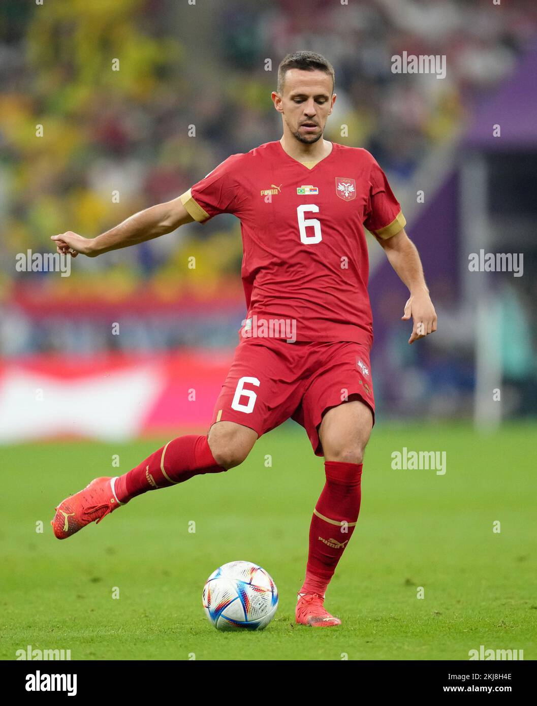 Serbia's Nemanja Maksimovic during the FIFA World Cup Group G match at ...