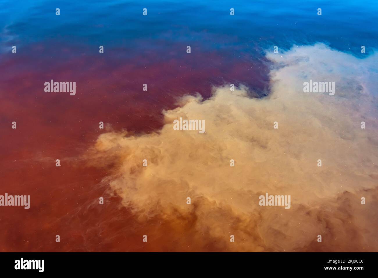 Caustic toxic emissions into the pond, bright contrasting spots on the ...