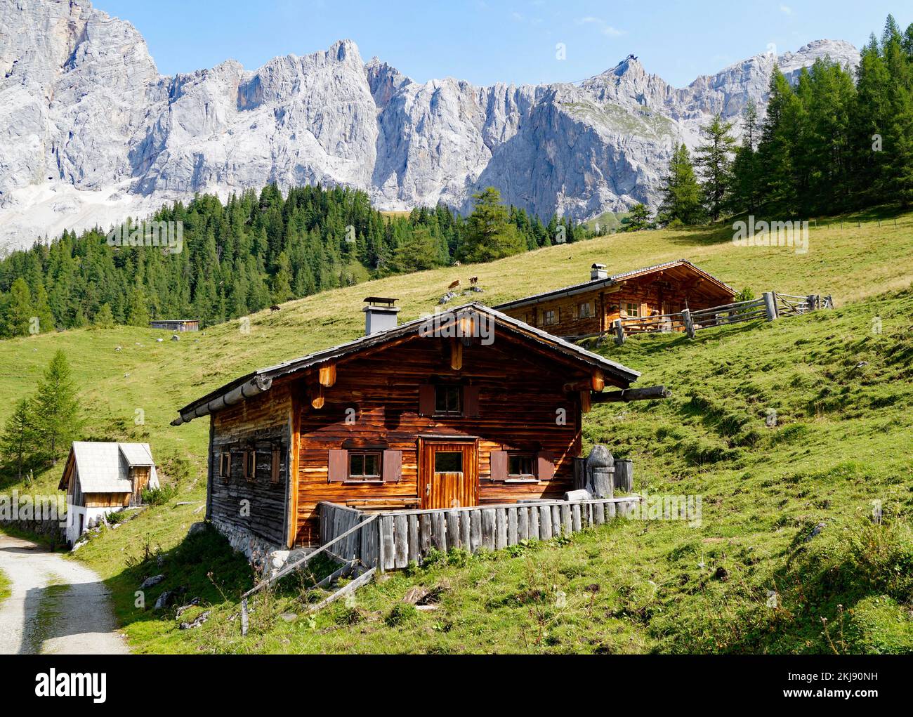 a beautiful alpine village Neustatt Alm or Neustatt valley by the foot ...