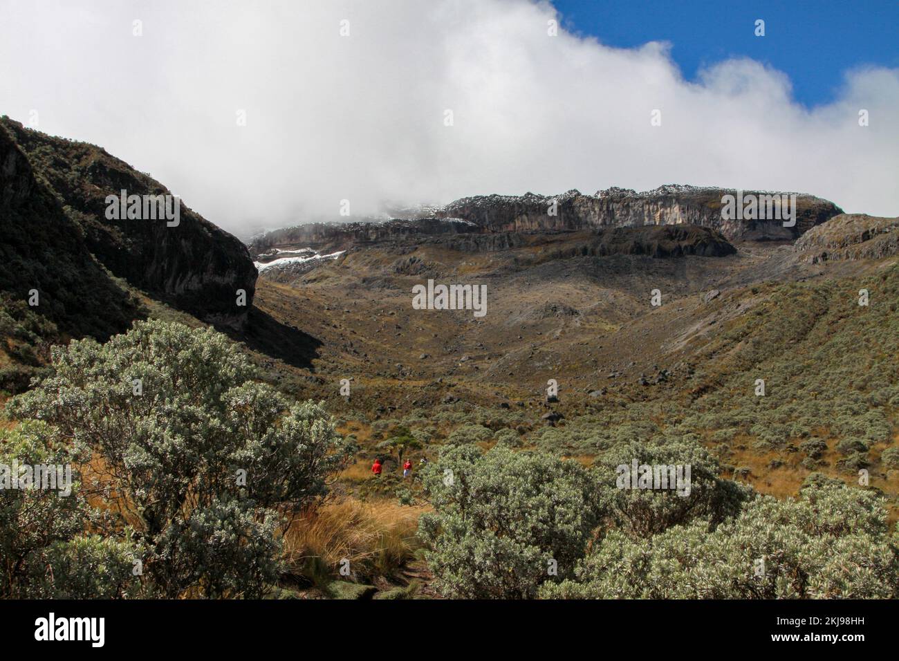 Columbia, National Park Natural LOS NEVADOS Stock Photo - Alamy