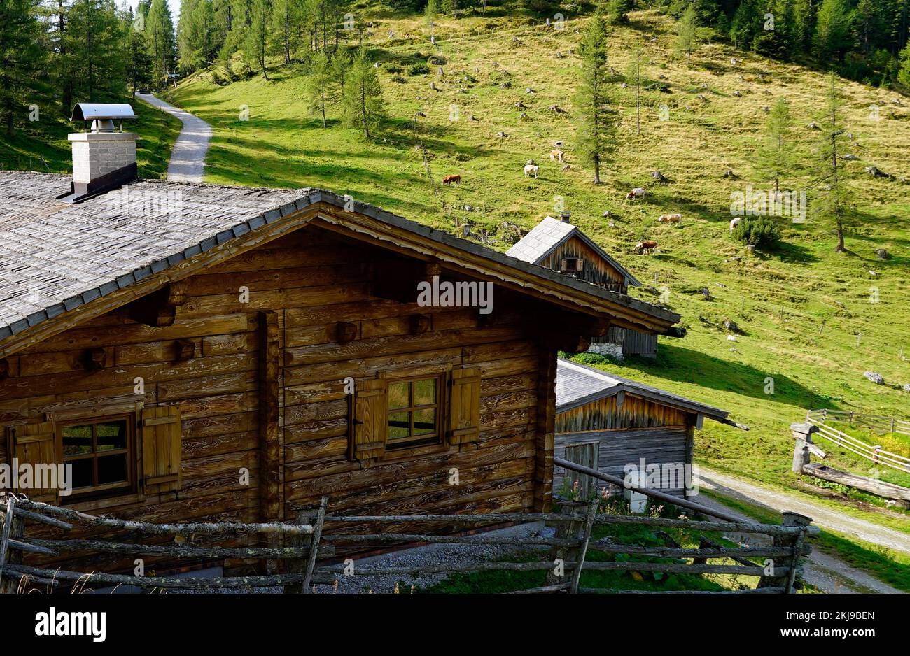 rustic wooden alpine cabin by foot of Dachstein mountain in alpine ...