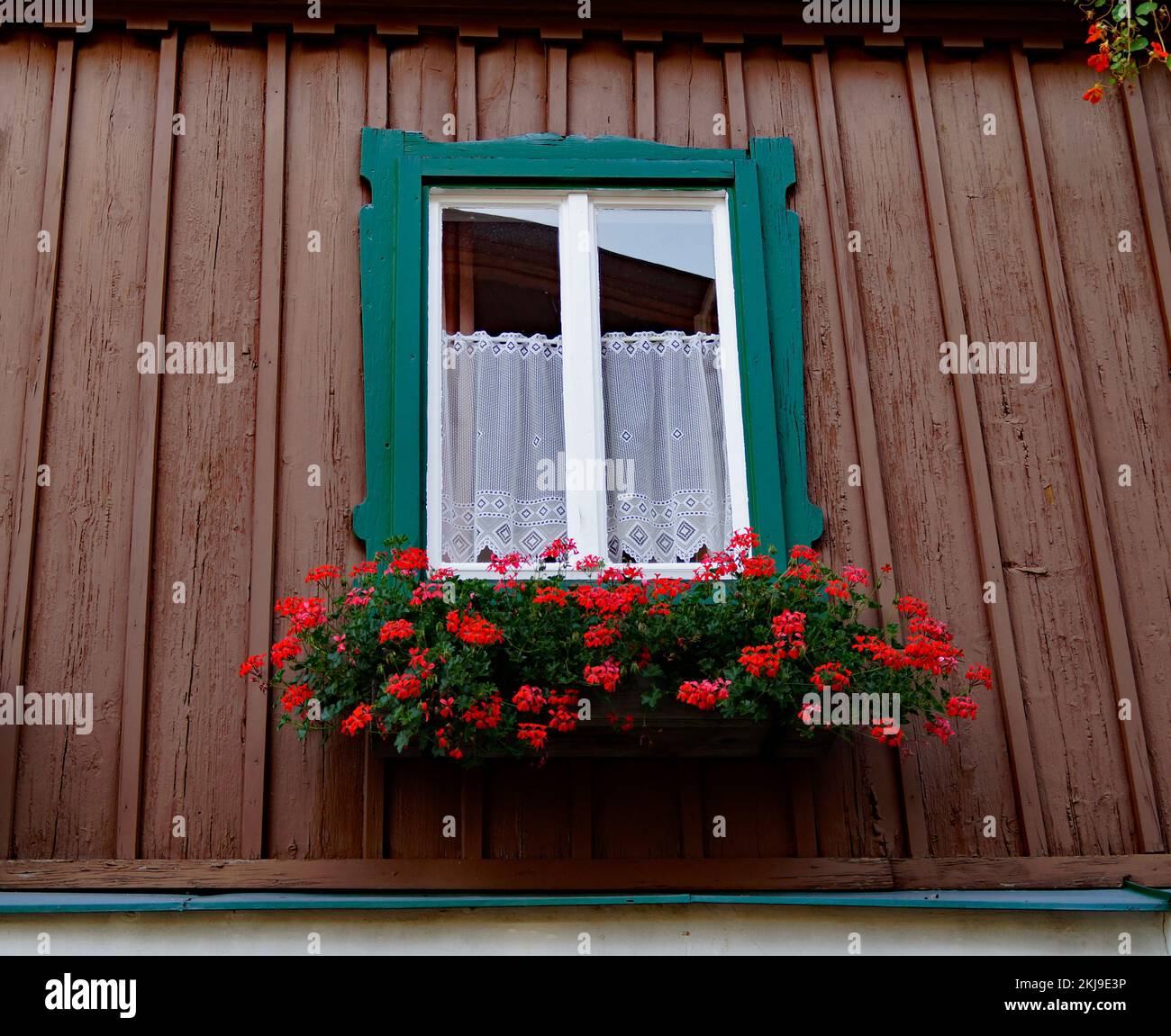 rustic alpine cabin or log cabin with geraniums on the window ledge in ...