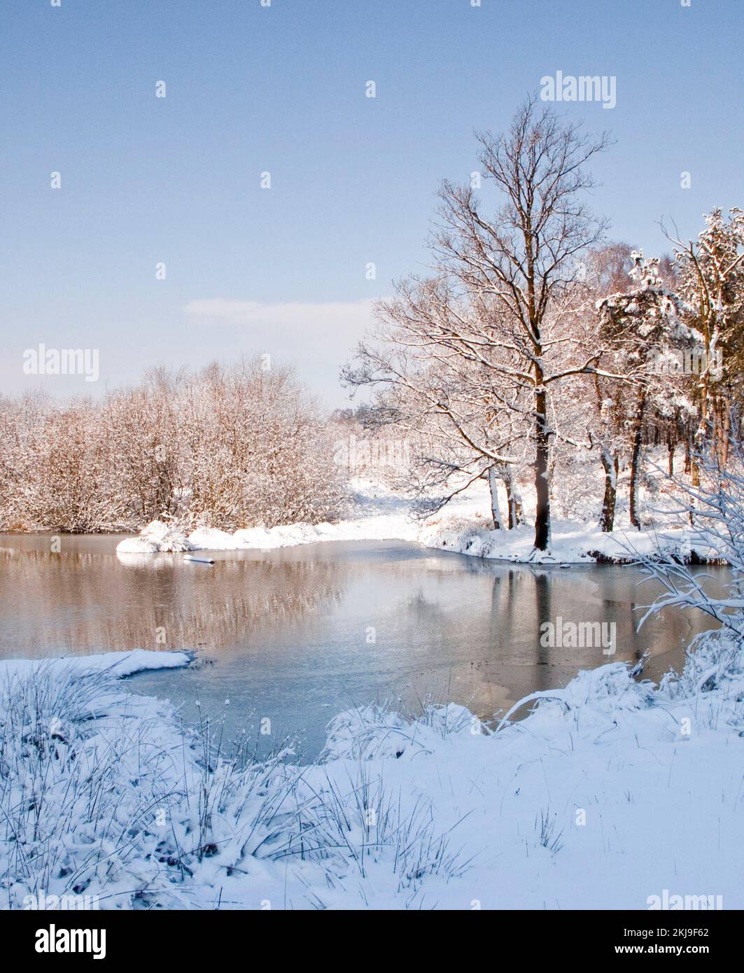 Frosty and snow laden trees around ice covered frozen Pool/Mere in ...