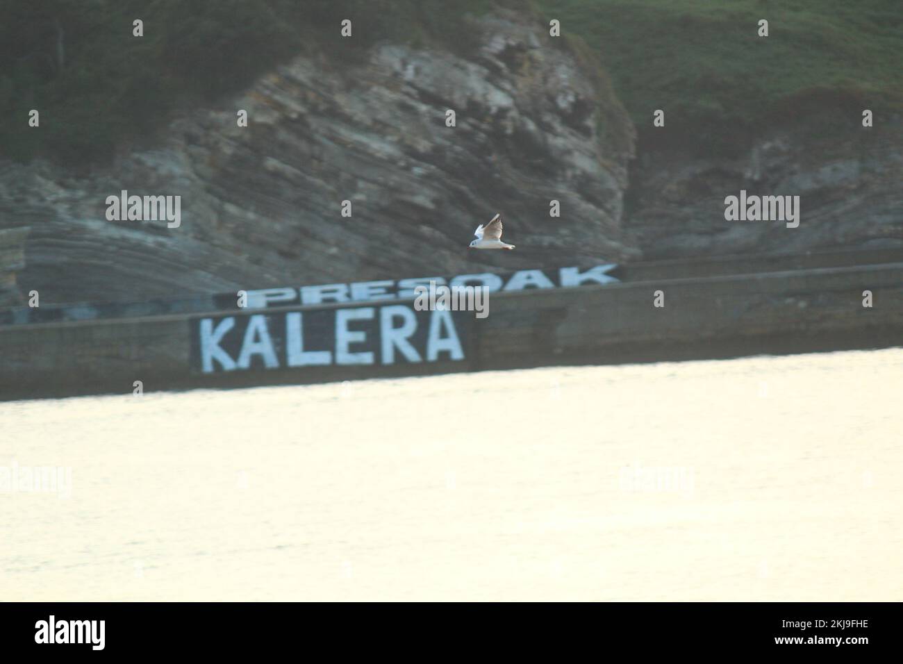 Kalera hi-res stock photography and images - Alamy