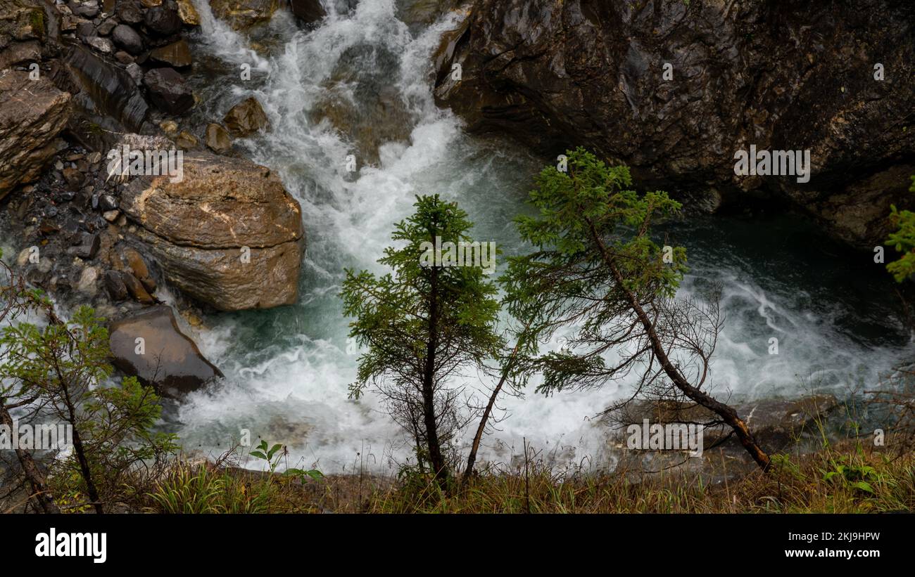 A high angle view of a stream with stones and vegetation on the shore ...