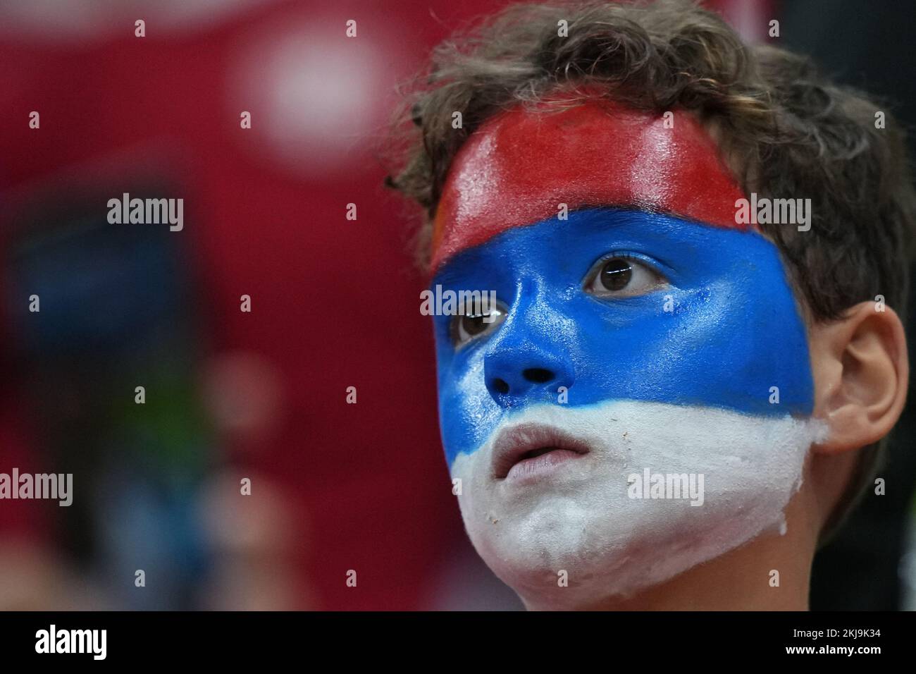 Serbia fan during the FIFA World Cup Qatar 2022 match, Group G, between ...