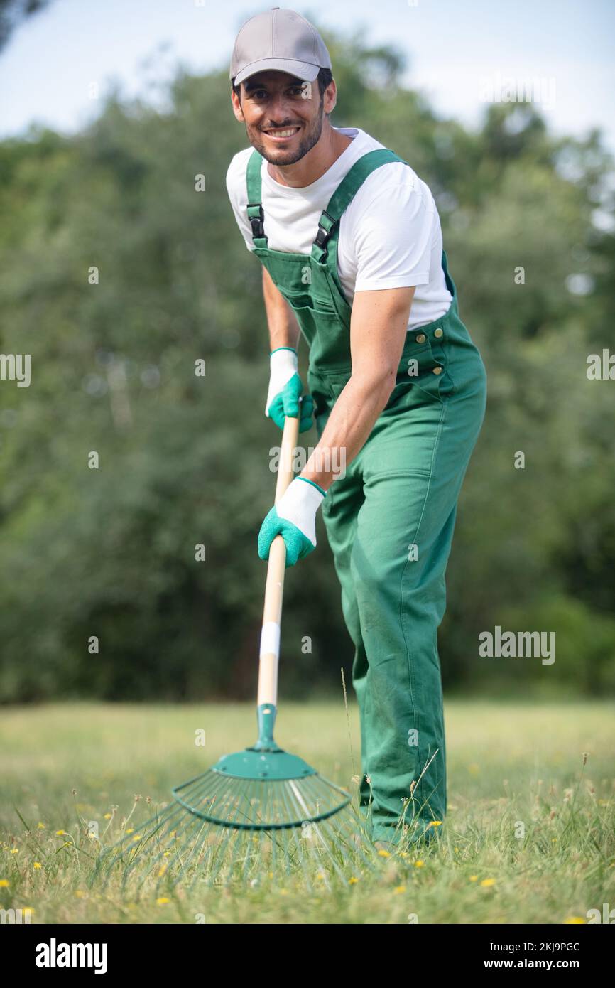 happy man rakes old foliage on a green grass Stock Photo - Alamy