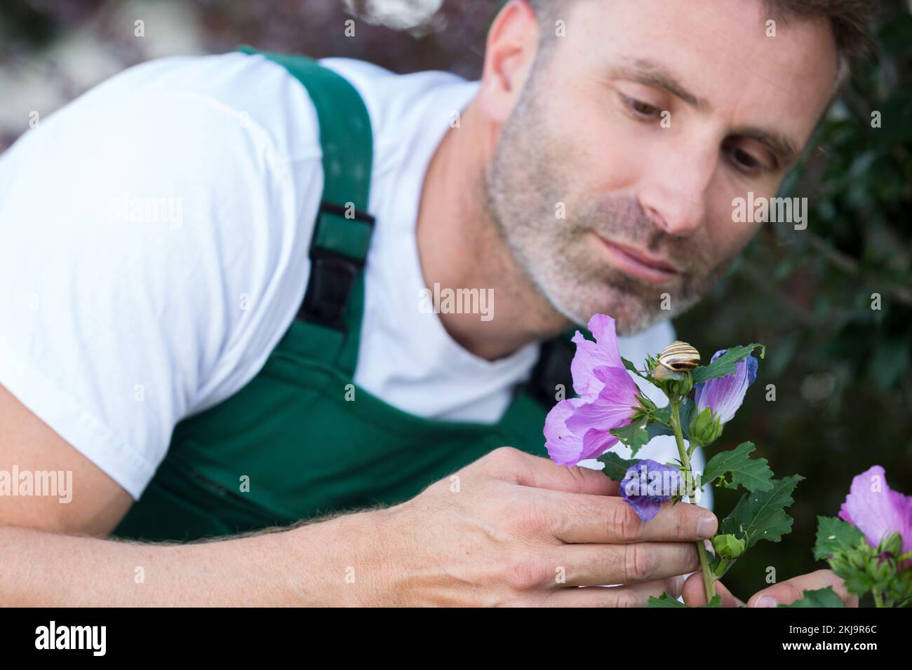 Confident aged man cutting hi-res stock photography and images - Alamy