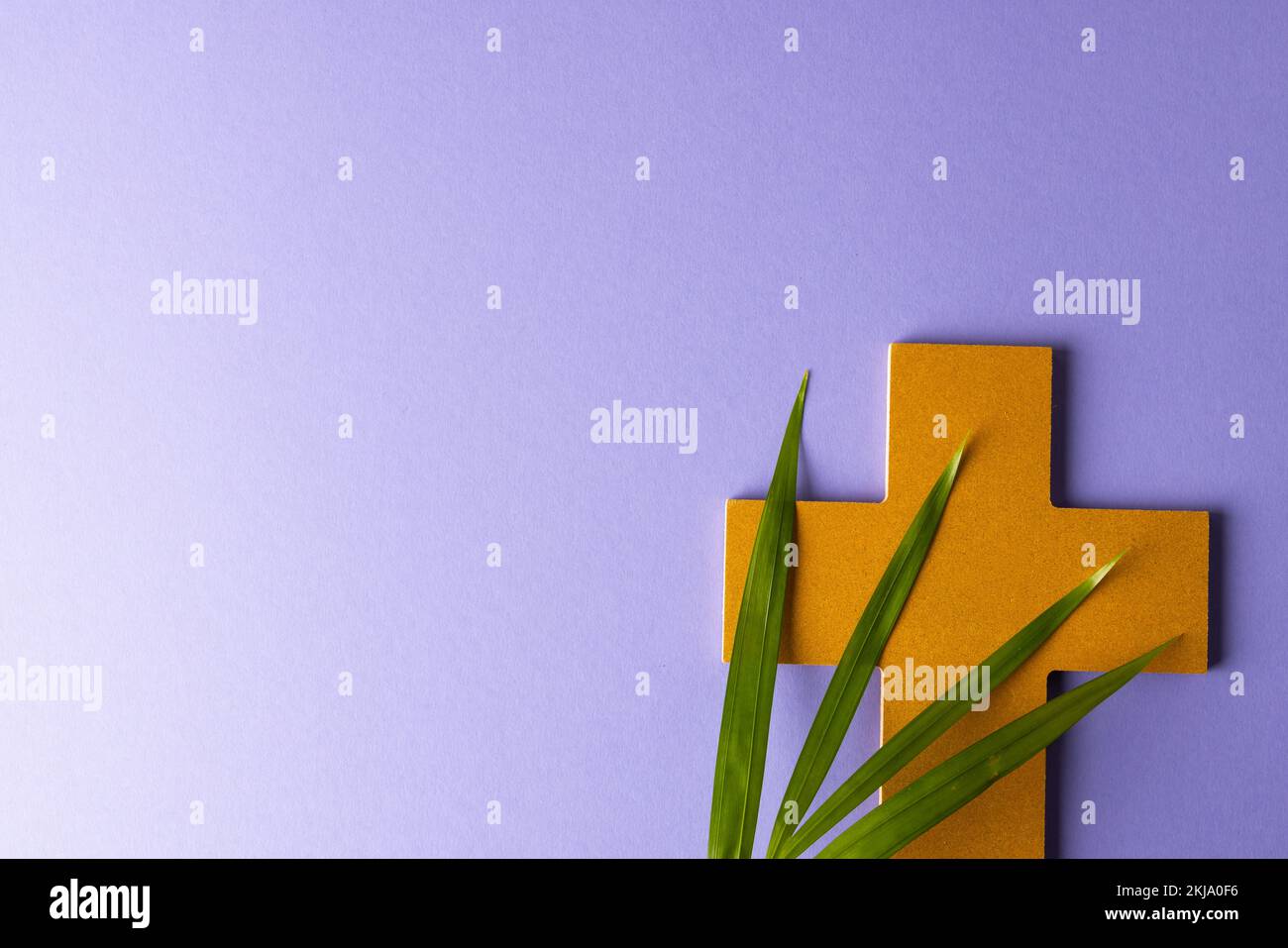 Composition of christian ash wednesday cross and palm leaves on purple background with copy ...