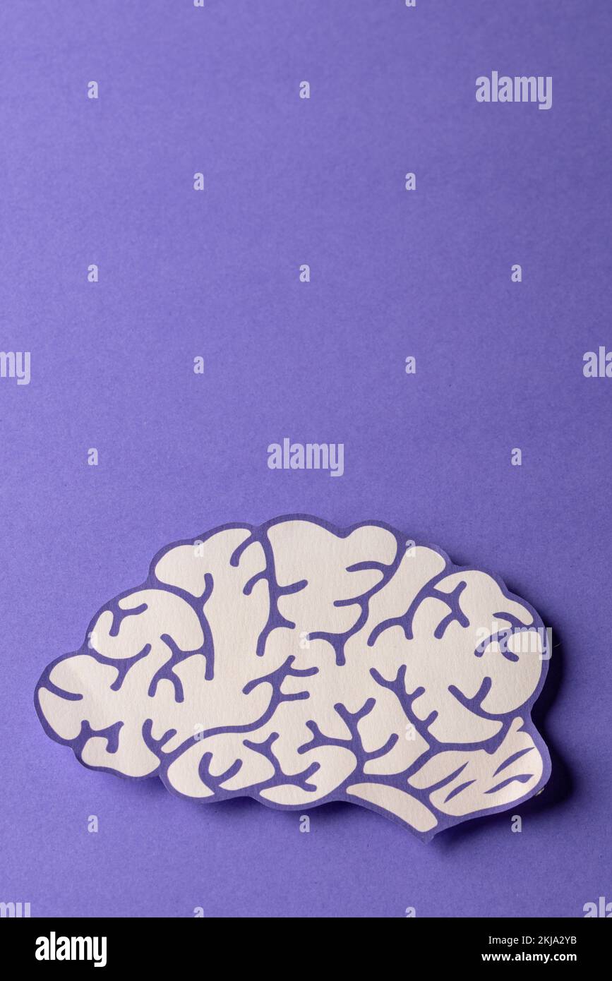 Vertical composition of white and purple brain on purple background ...