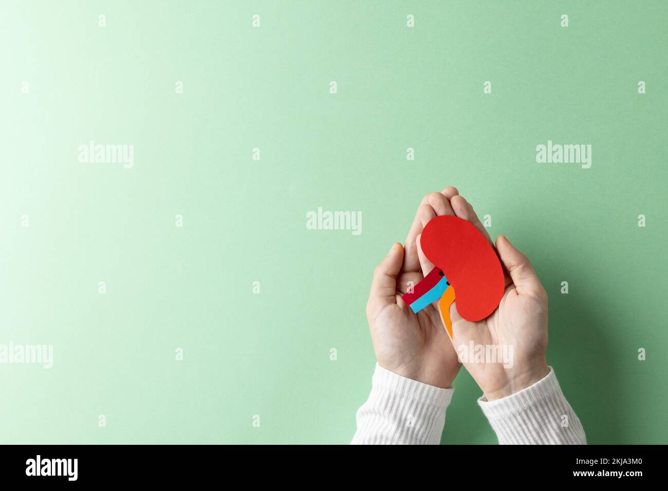 Composition of hands holding kidney on green background with copy space ...