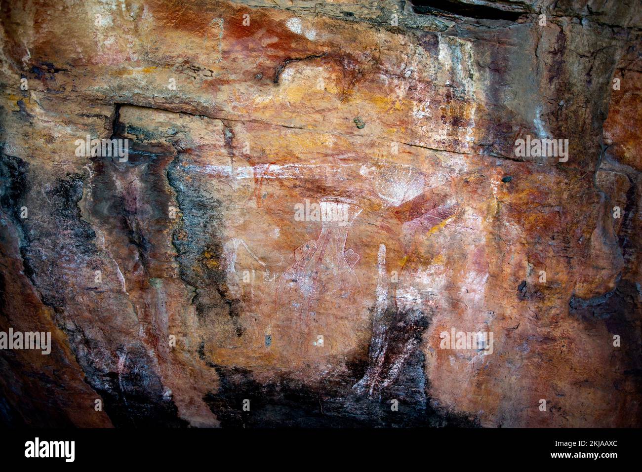 Fish art aboriginal indigenous hi-res stock photography and images - Alamy