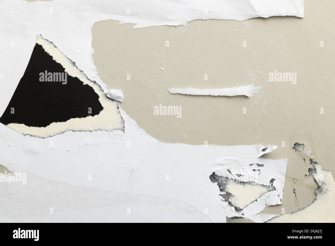 Ripped up pieces of white and black paper with copy space on gray ...