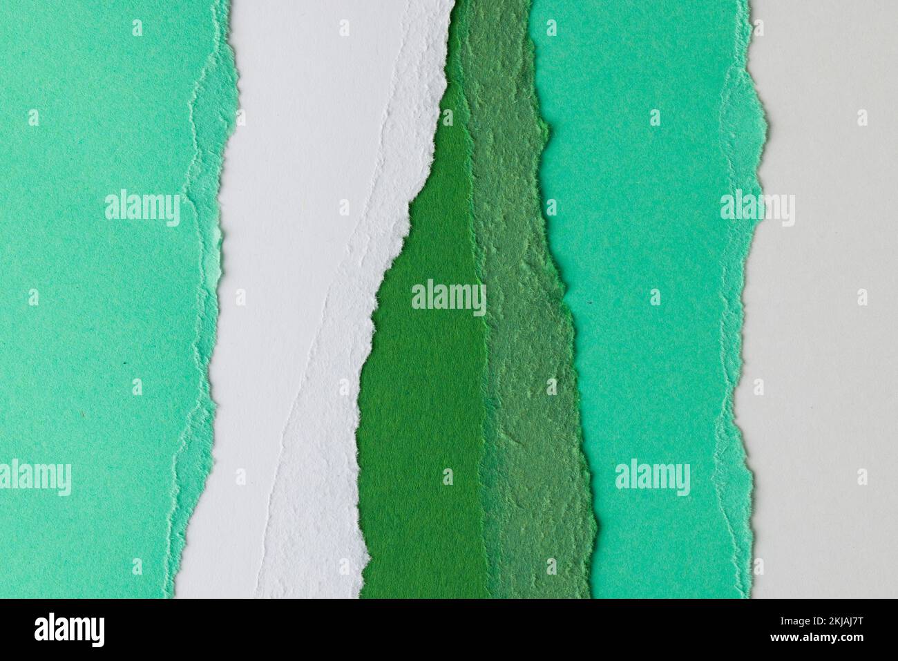 Ripped up pieces of coloured paper and copy space on white background ...