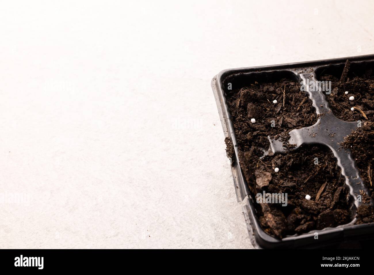 Seedling tray filled with dark soil and fertiliser, with copy space ...